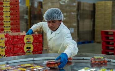 Skip Hulett Aids NatureSweet’s B Corp Certification - Modern Counsel